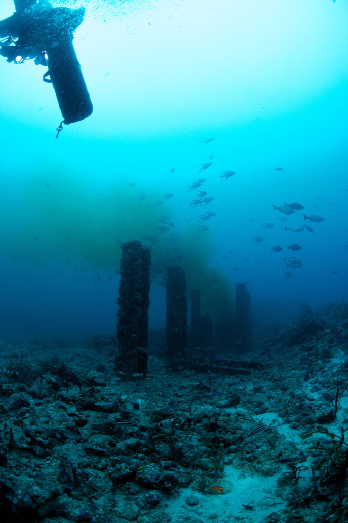 Hollywood Sewage Outfall | Project Baseline Gulfstream Chapter