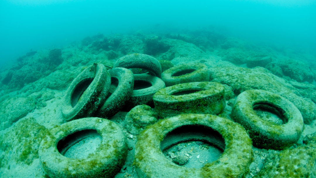 Survey Dive On The Osborne Tire Reef And Surrounding Area Shows The ...