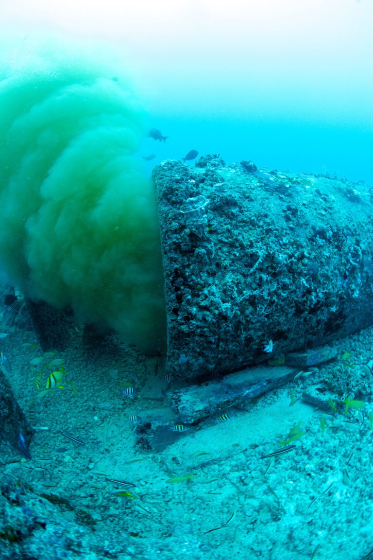 Hollywood Sewage Outfall | Project Baseline Gulfstream Chapter